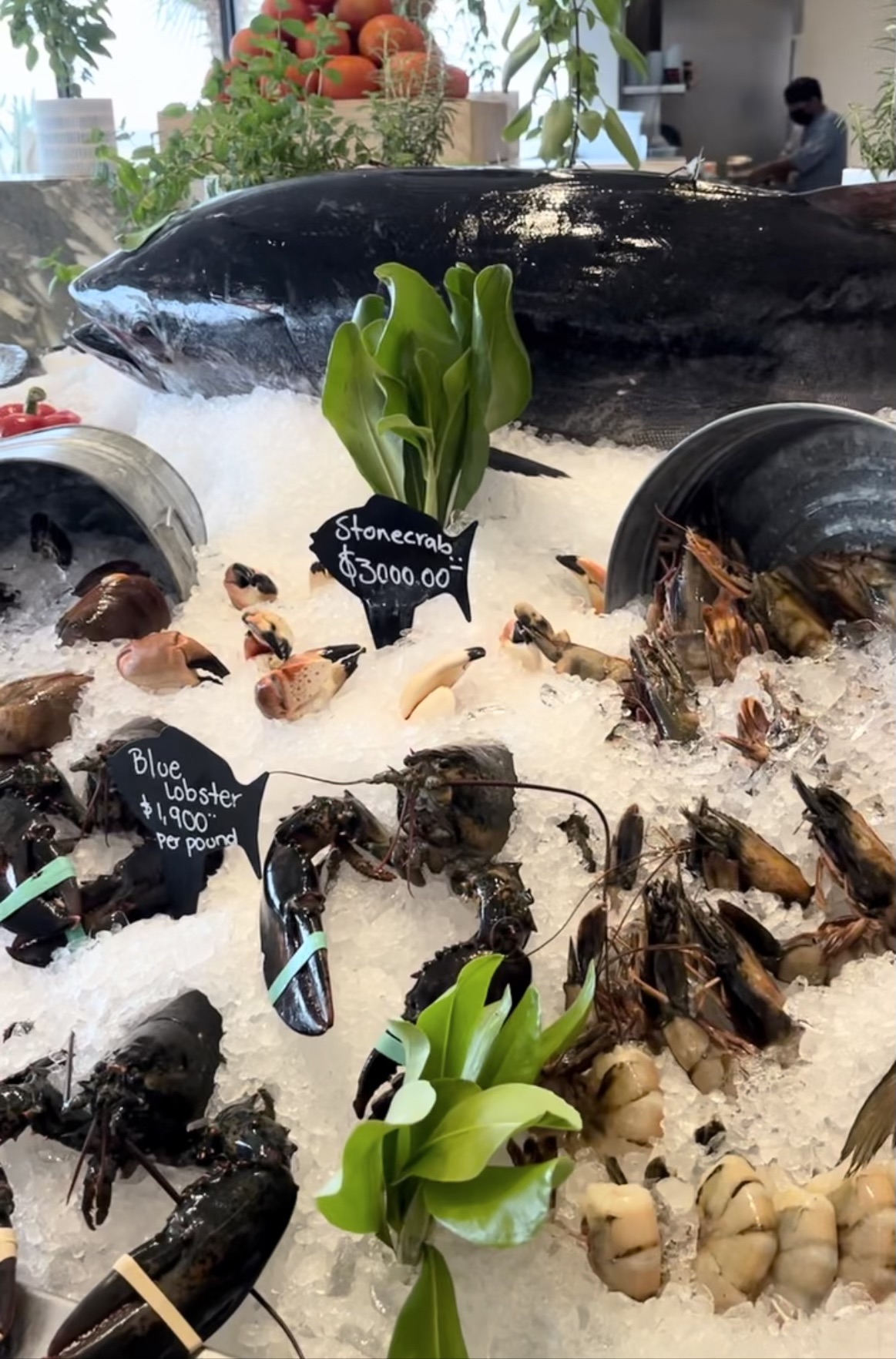 The Hidden Haven in Baja California - Michelle Norwood Events